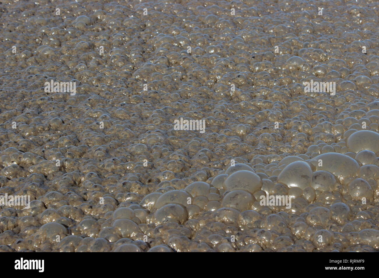 Sewage Sludge Stock Photos & Sewage Sludge Stock Images - Alamy