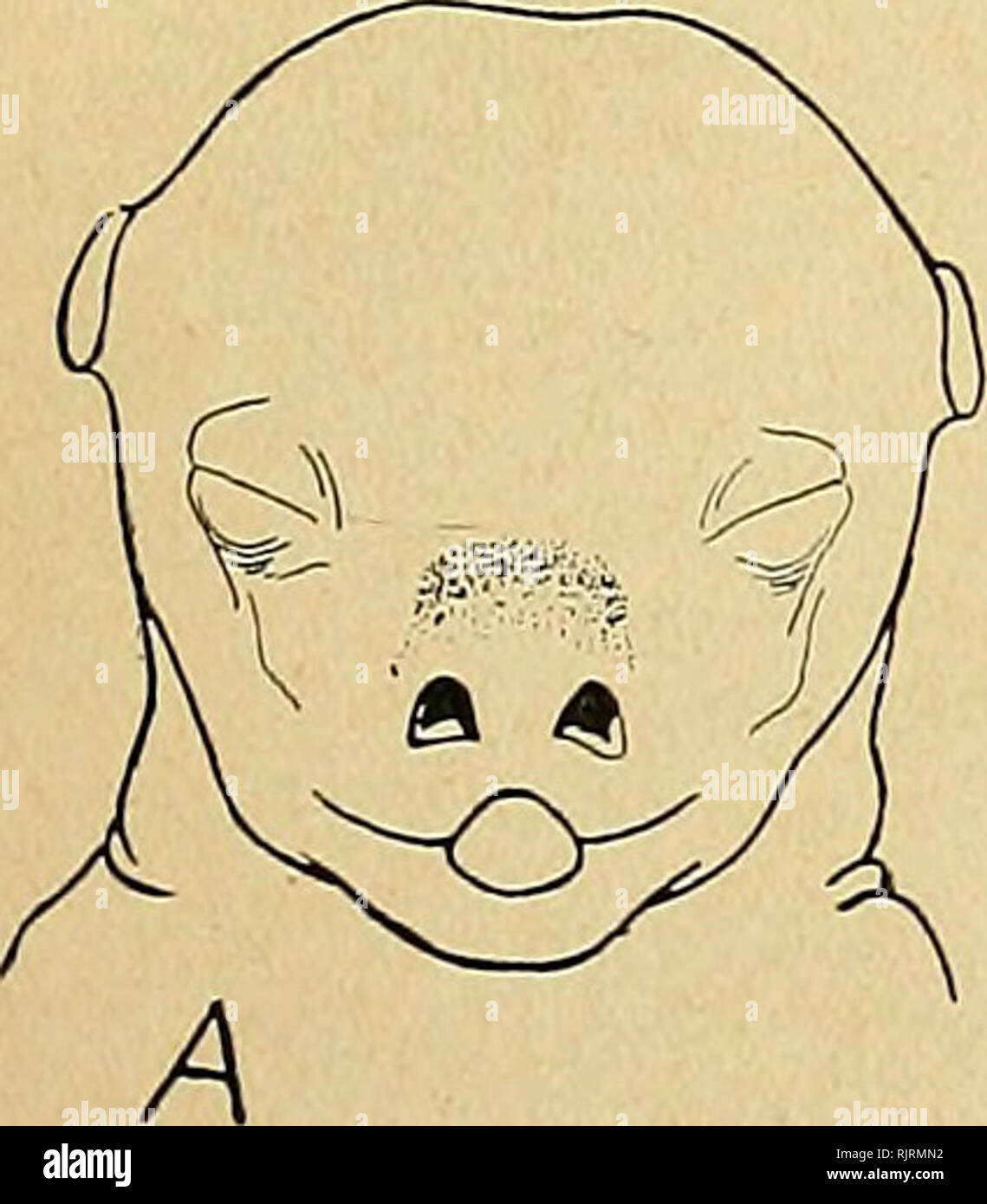 Left side displays hi-res stock photography and images - Alamy