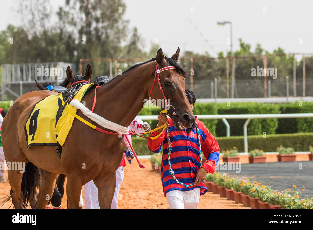 Horse racing at King Khalid Racetrack, Taif, Saudi Arabia 22/06/2018 ...