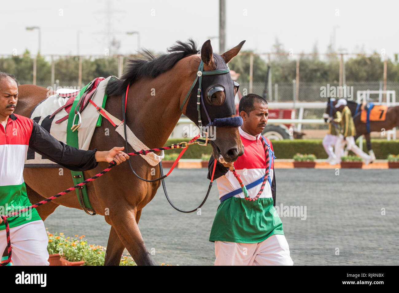 Horse racing at King Khalid Racetrack, Taif, Saudi Arabia 22/06/2018 ...