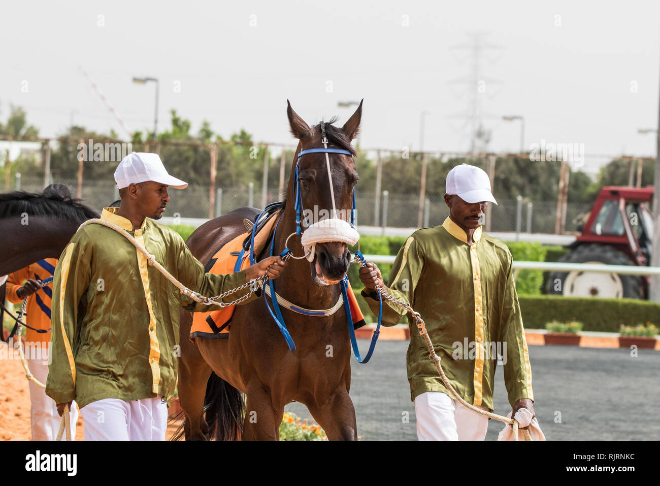 Horse racing at King Khalid Racetrack, Taif, Saudi Arabia 22/06/2018 ...