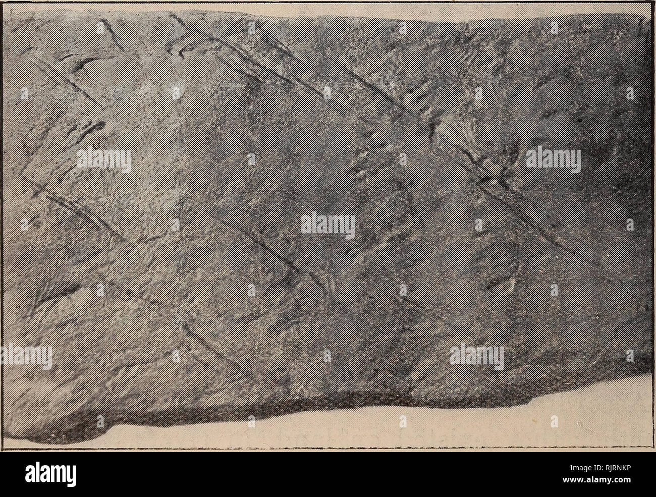 Grange burn hi-res stock photography and images - Alamy