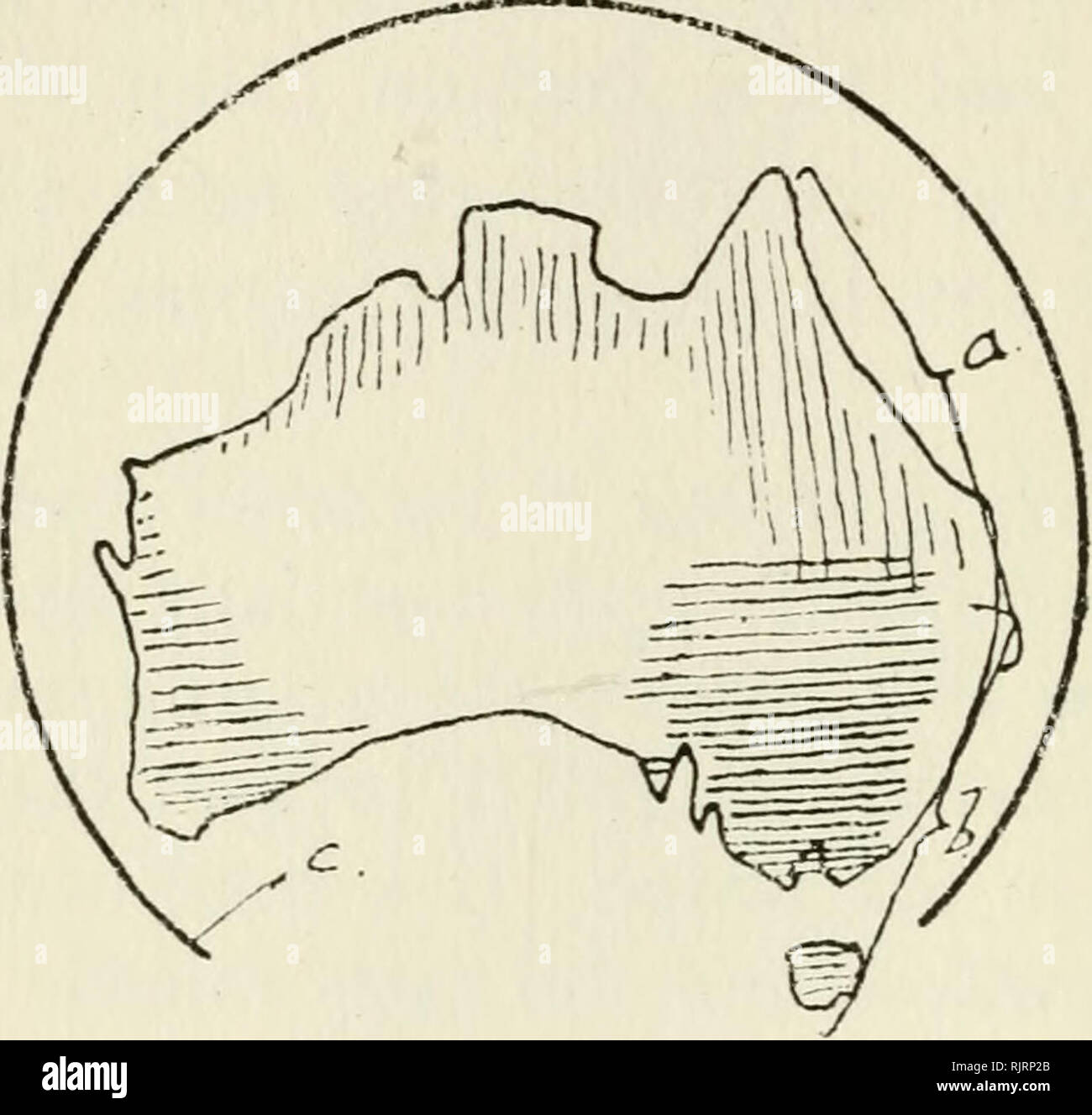 . Australian bird maps. Birds -- Australia. 94 AUSTRALIAN BIRD MAPS ...