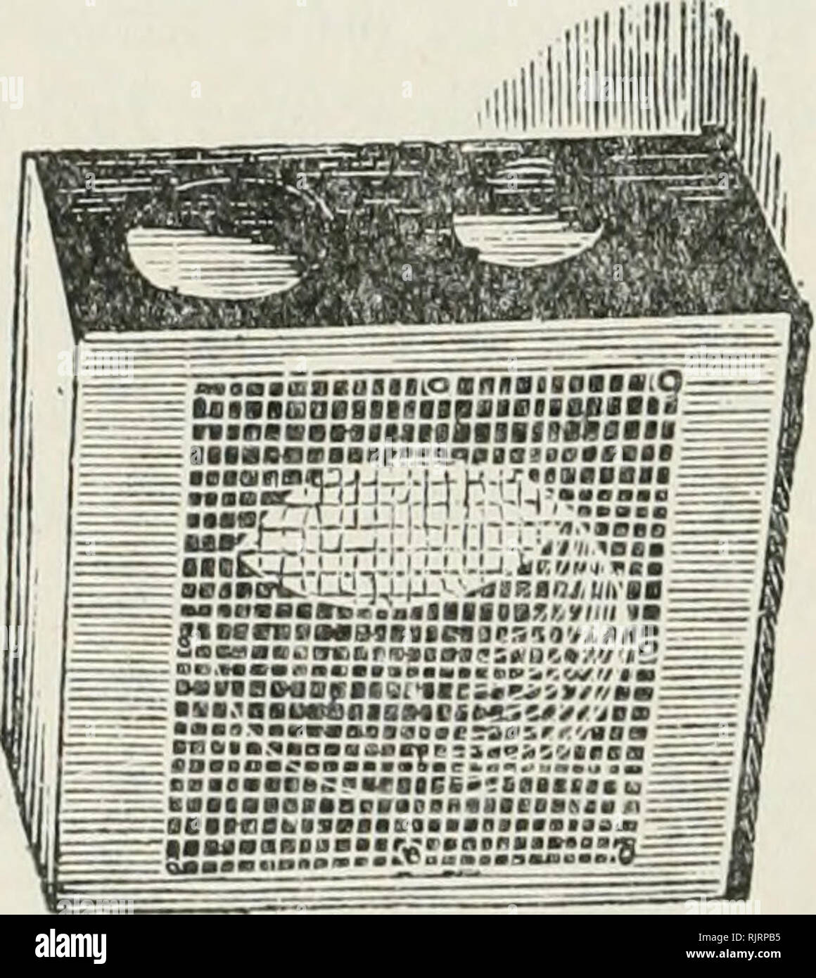 . Australian bee lore and bee culture : including the influence of bees ...