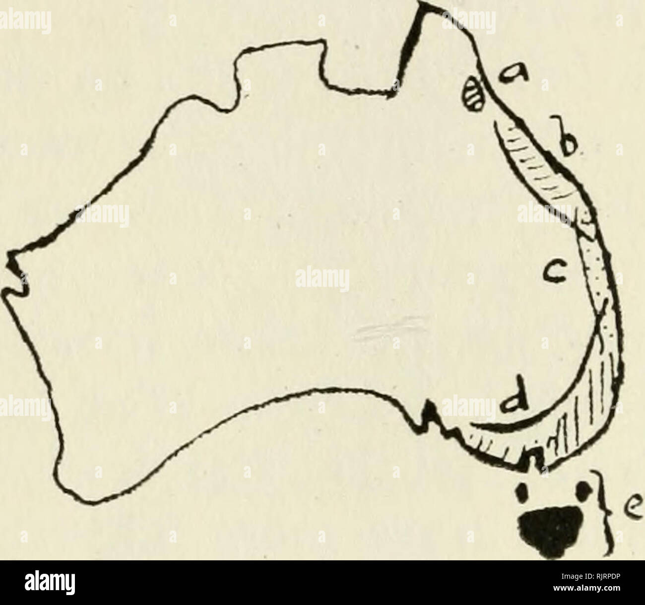 . Australian bird maps. Birds -- Australia. 58 AUSTRALIAN BIRD MAPS ...