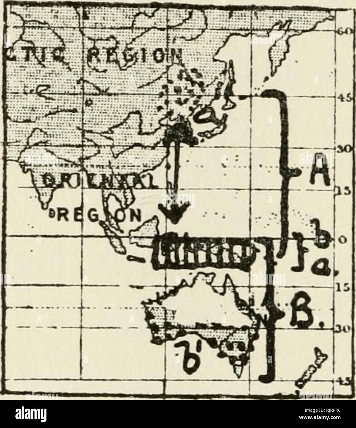 Malay Archipelago Map High Resolution Stock Photography and Images - Alamy Malay Archipelago Map High Resolution Stock Photography and Images - Alamy