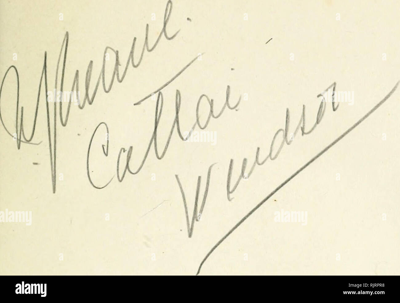 . Australian bee lore and bee culture : including the influence of bees ...