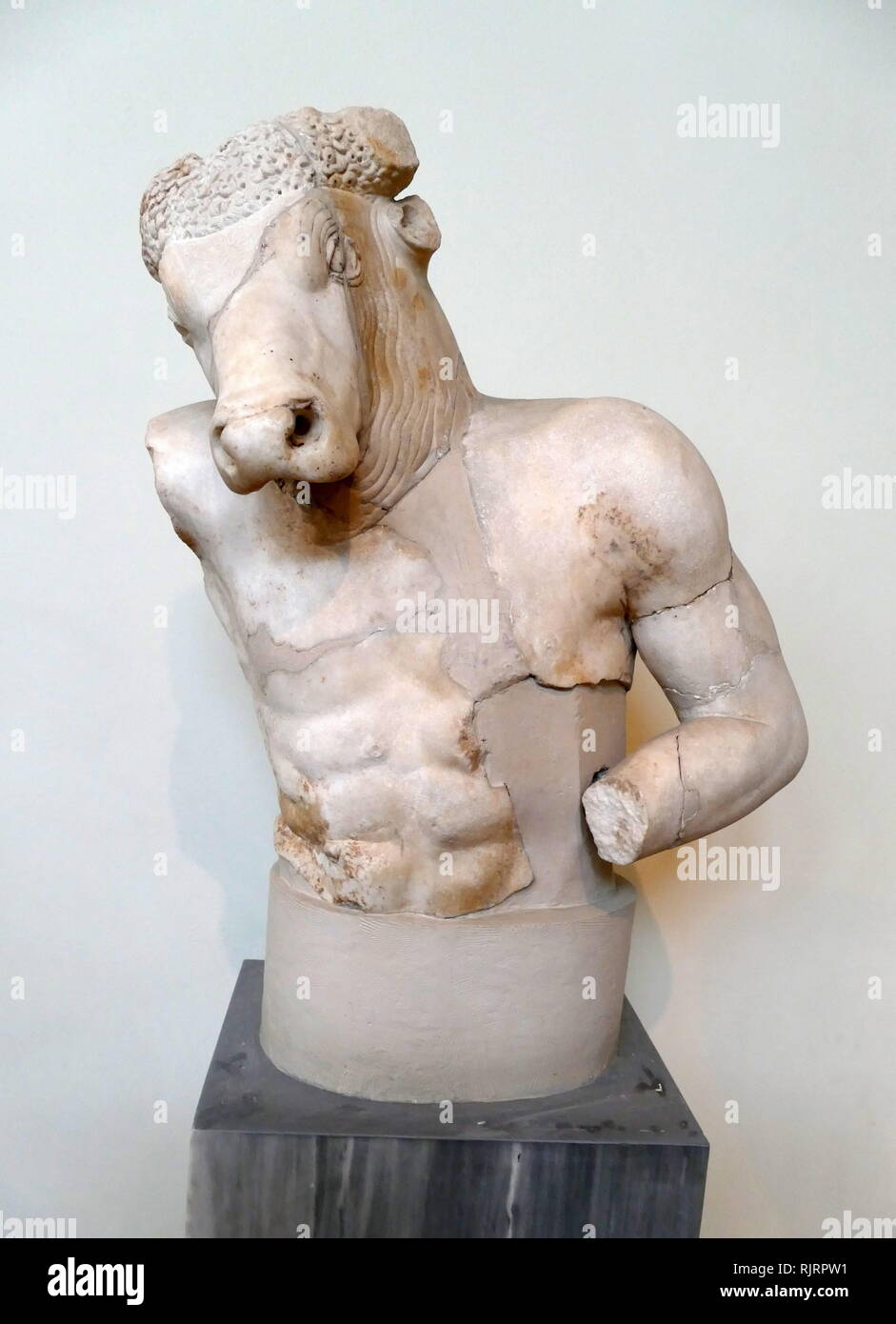 Bust of the Minotaur; 5th century BC, Marble statue. Found in the Plaka ...