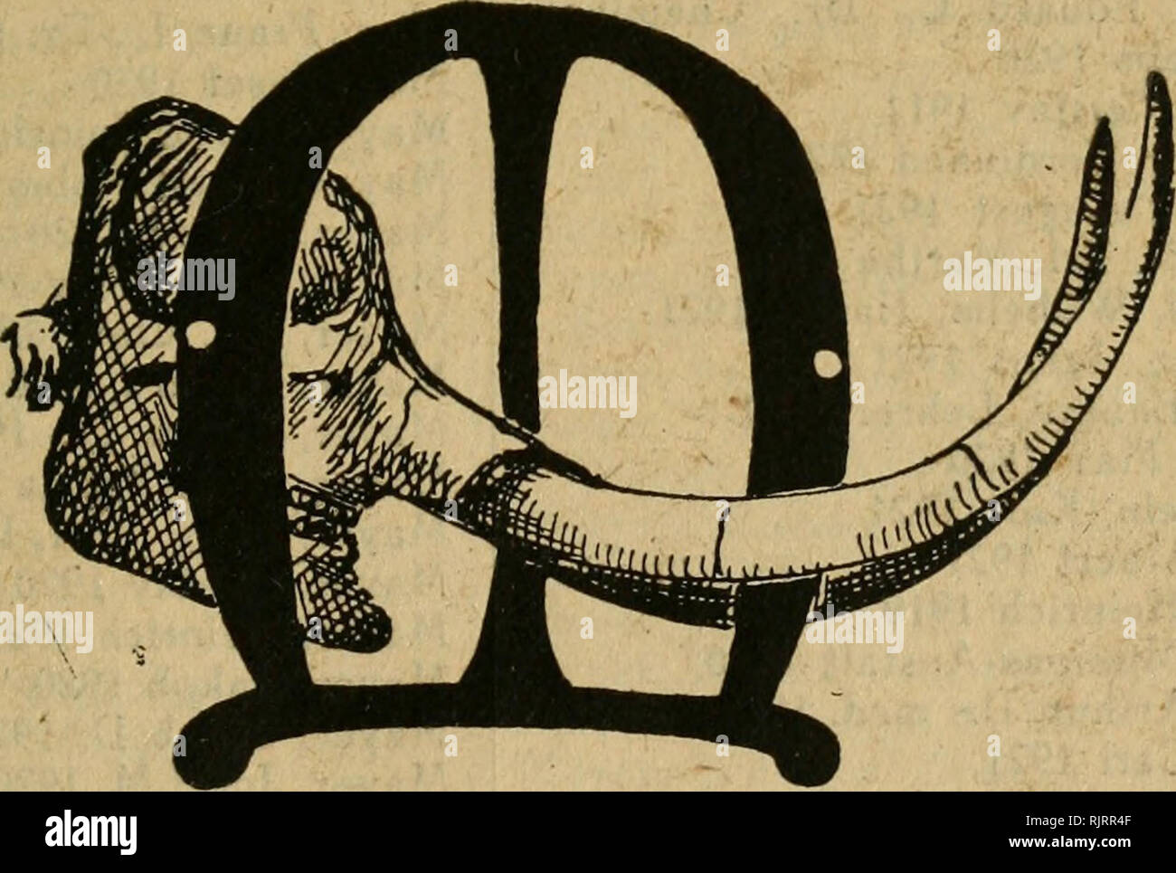 Alfred lowenstein hi-res stock photography and images - Alamy