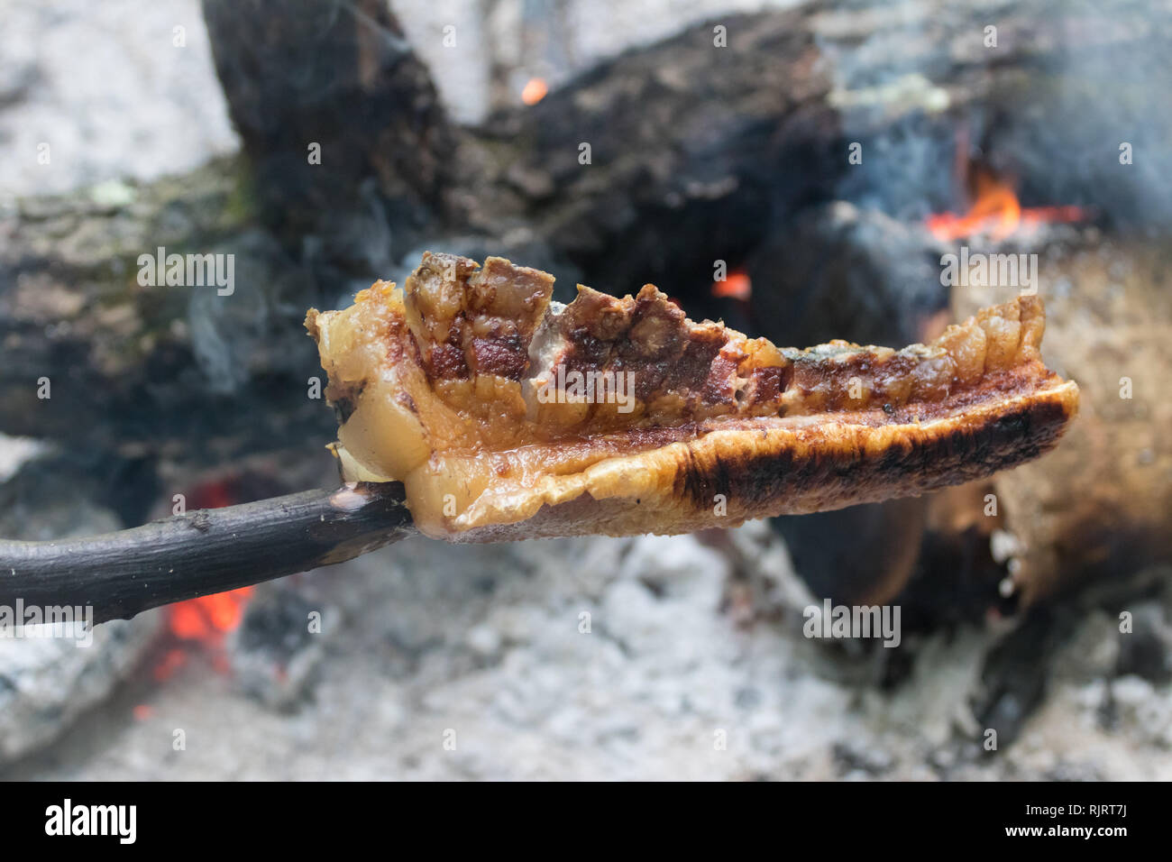 Strong roast bacon on the skewer. Campfire Cooking. Close up wiew Stock ...