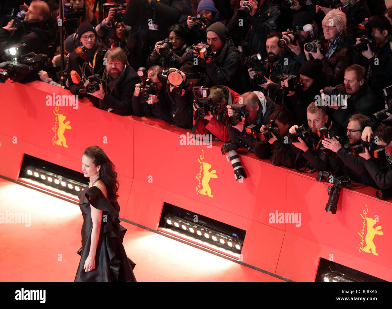 Berlin, Germany. 07th Feb, 2019. 69th Berlinale, opening gala: US ...