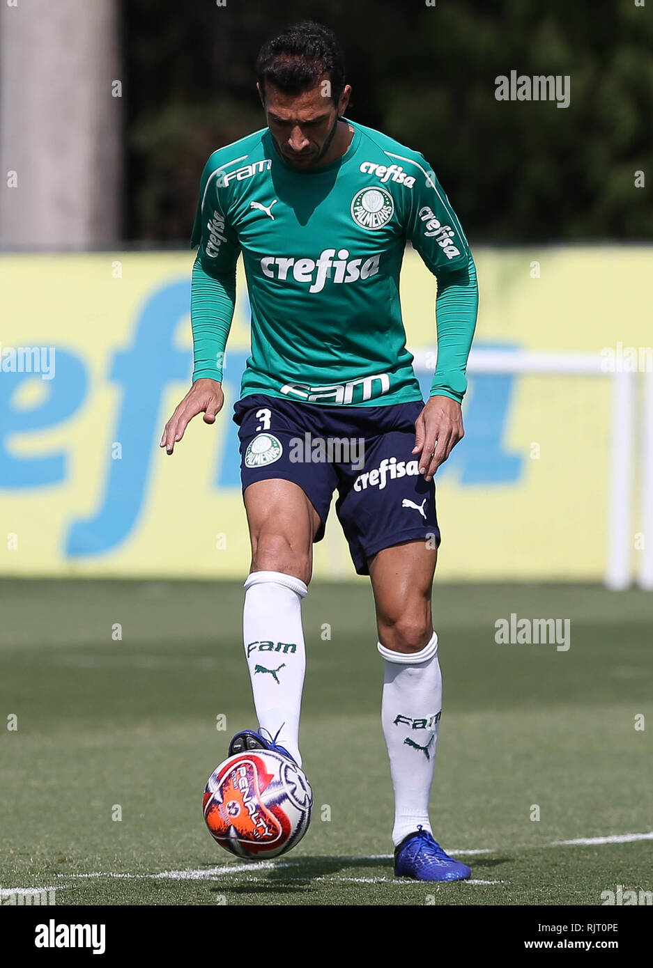 SÃO PAULO, SP - 07.02.2019: TREINO DO PALMEIRAS - The player Edu ...
