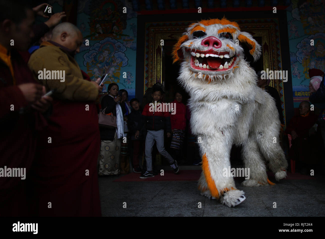 Kathmandu, Nepal. 7th Feb, 2019. A person concealed inside an animal ...