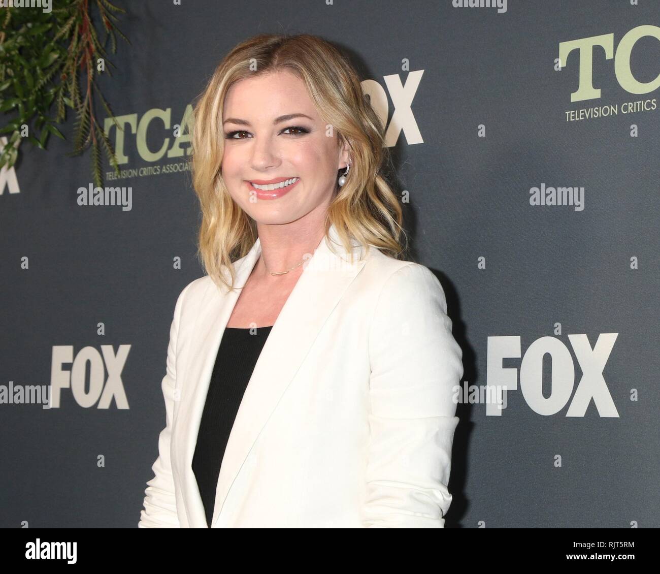 Fox winter tca 2019 all star party hi-res stock photography and images ...