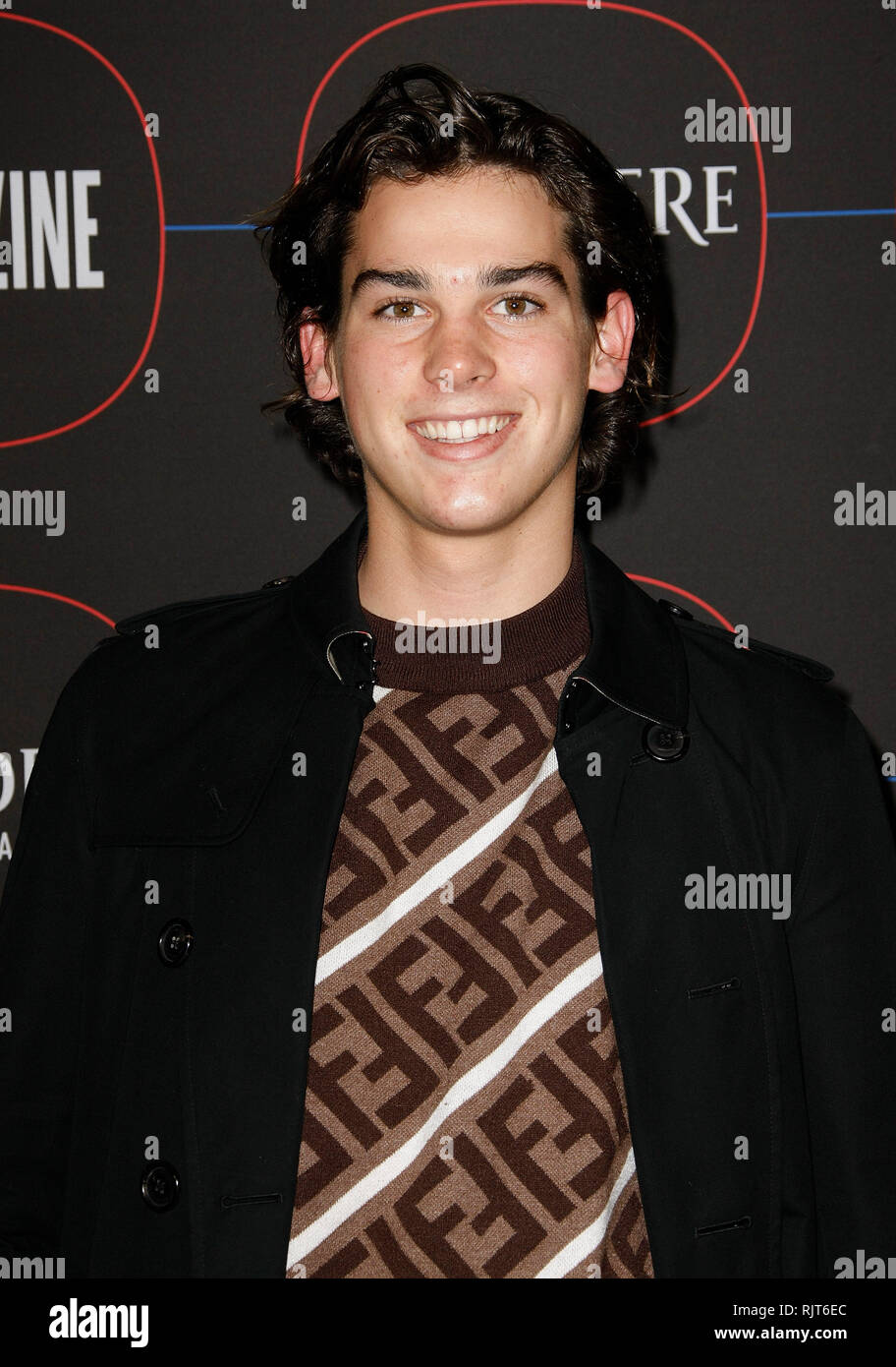 Los Angeles, USA. 07th Feb, 2019. Paris Brosnan attends the Warner ...