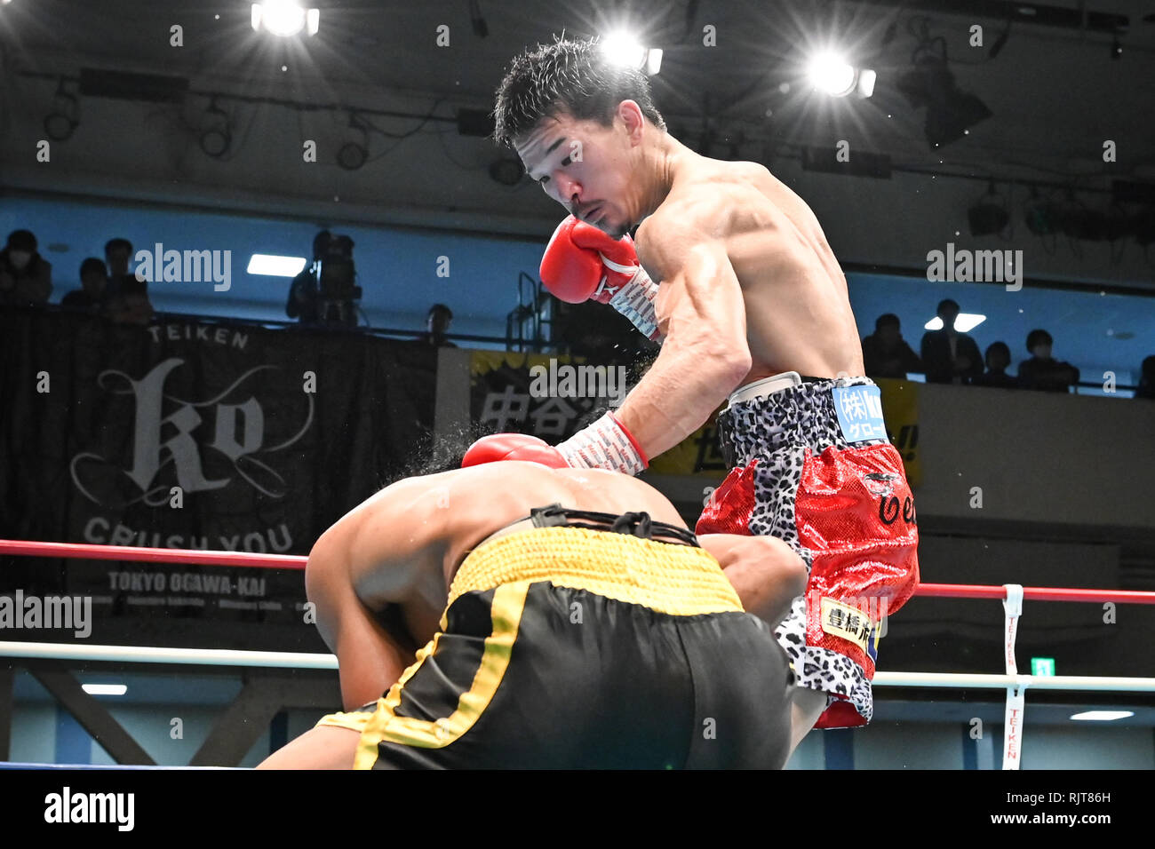 Tokyo, Japan. 2nd Feb, 2019. (L-R) Roldan Aldea (PHI), Kenichi Ogawa (JPN) Boxing : Kenichi ...
