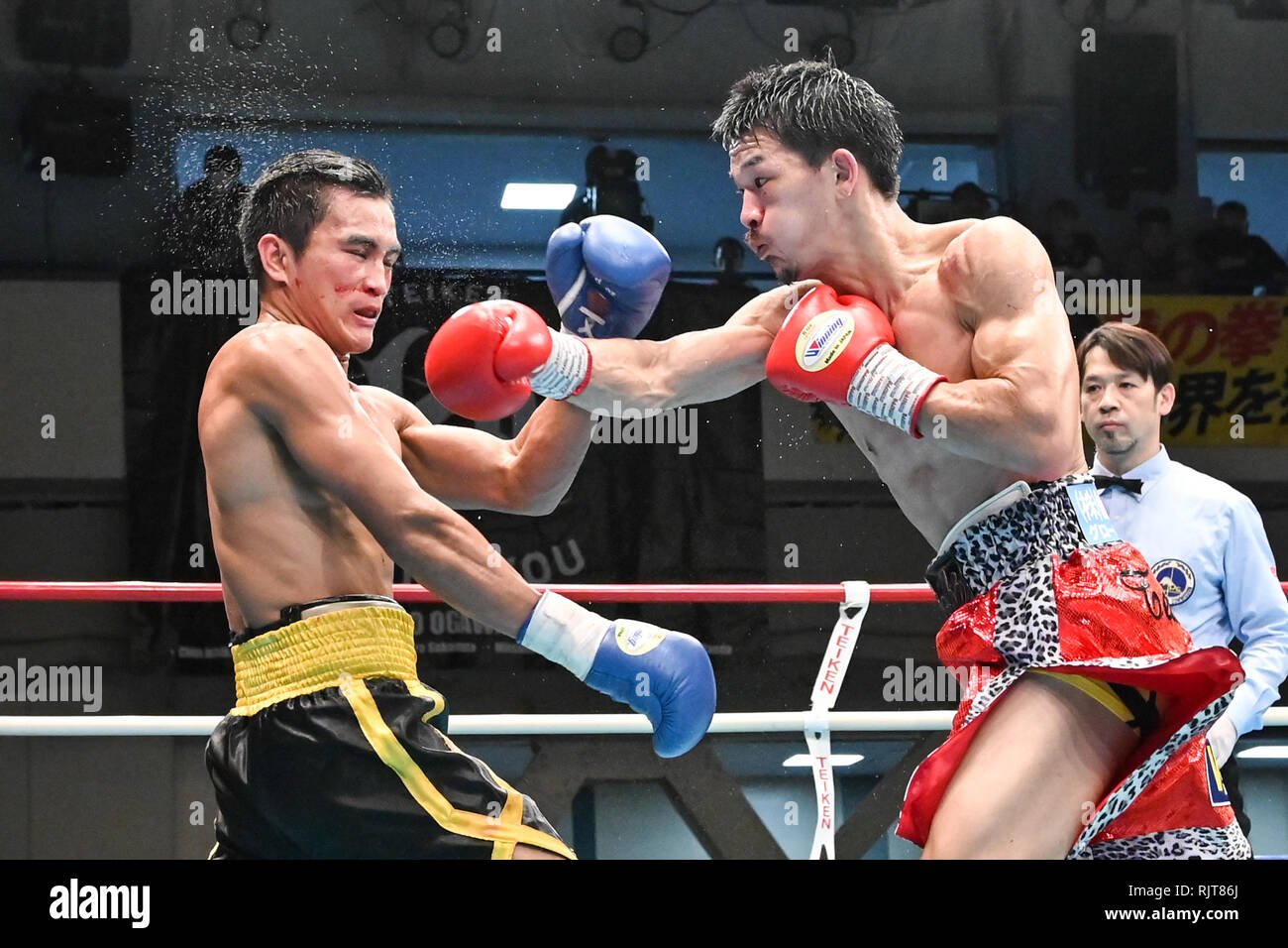 Tokyo, Japan. 2nd Feb, 2019. (L-R) Roldan Aldea (PHI), Kenichi Ogawa (JPN) Boxing : Kenichi ...