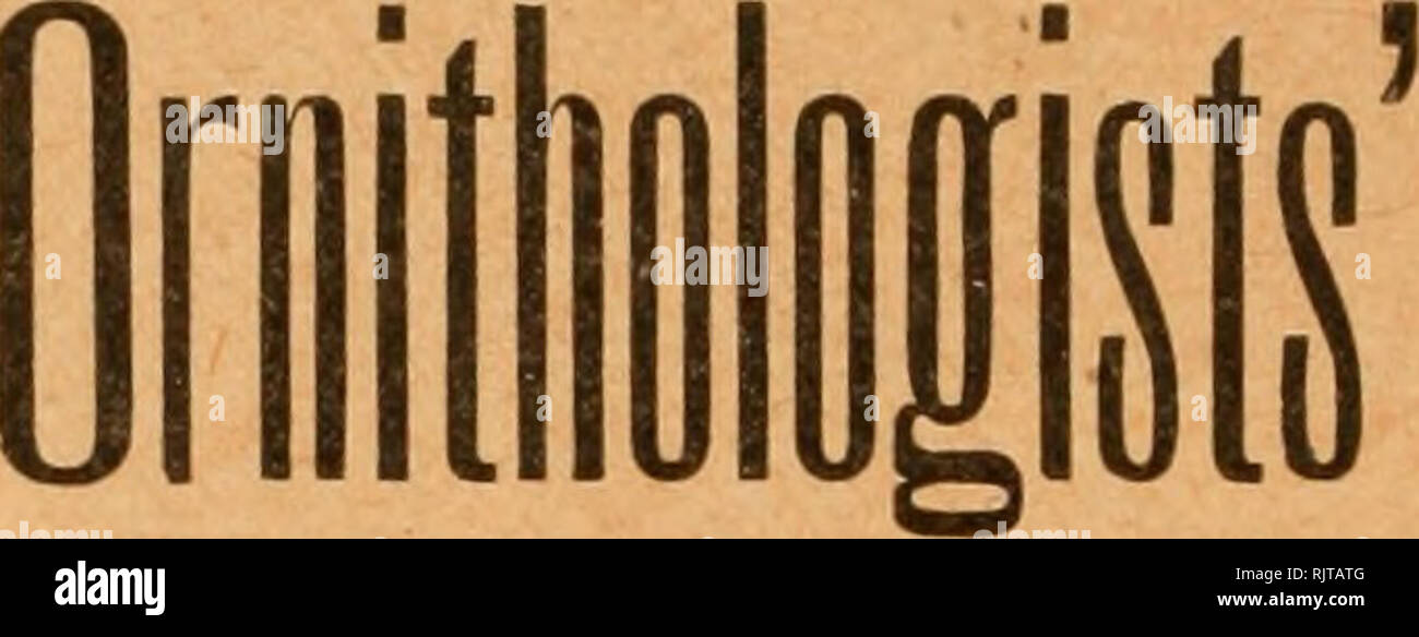 . The Auk. Birds. FOR SALE AT THE FOLLOWING PRICES: The Auk Complete ...