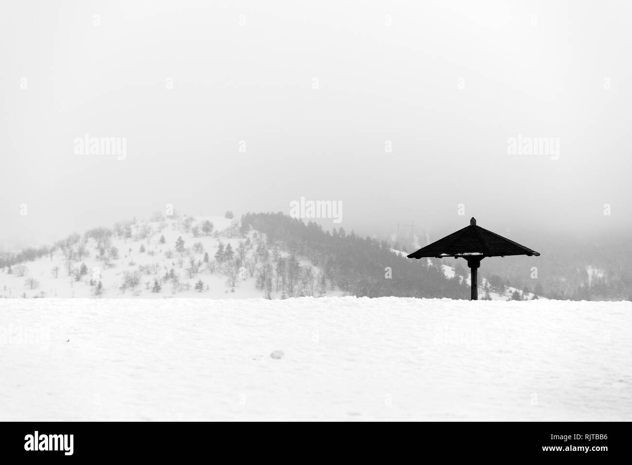 Evergreen mountain Black and White Stock Photos & Images - Alamy
