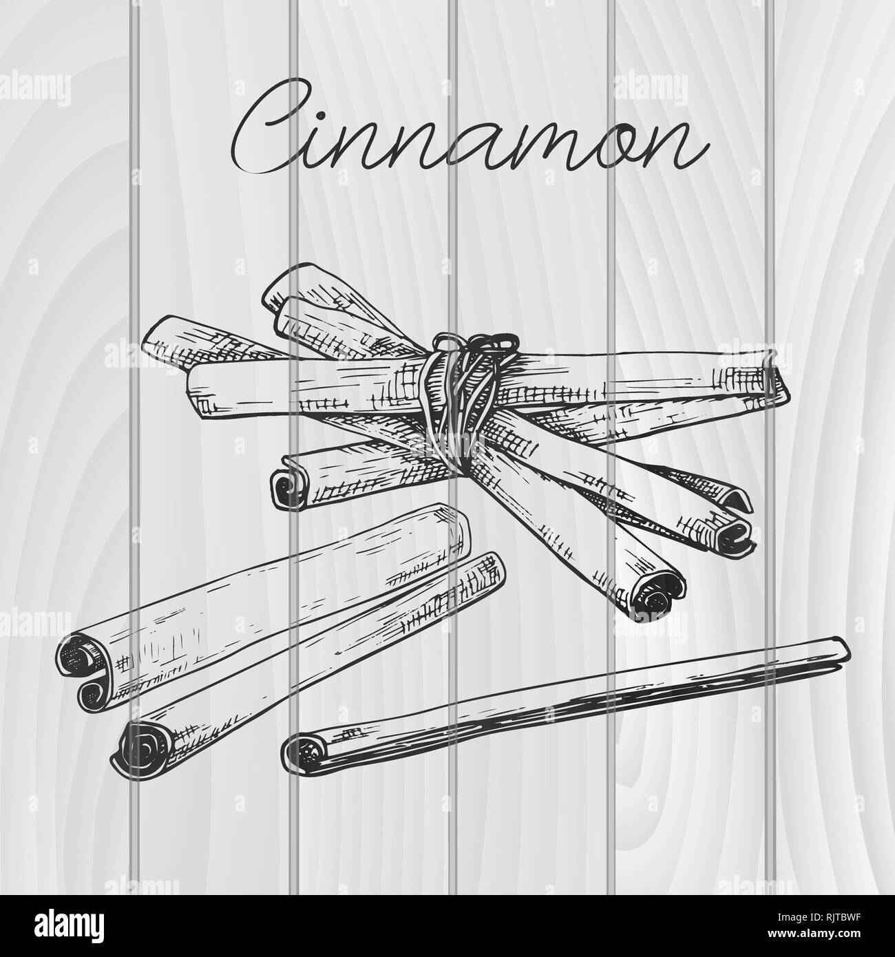 Cinnamon sticks. Hand drawn spice. Vector illustration of a sketch ...
