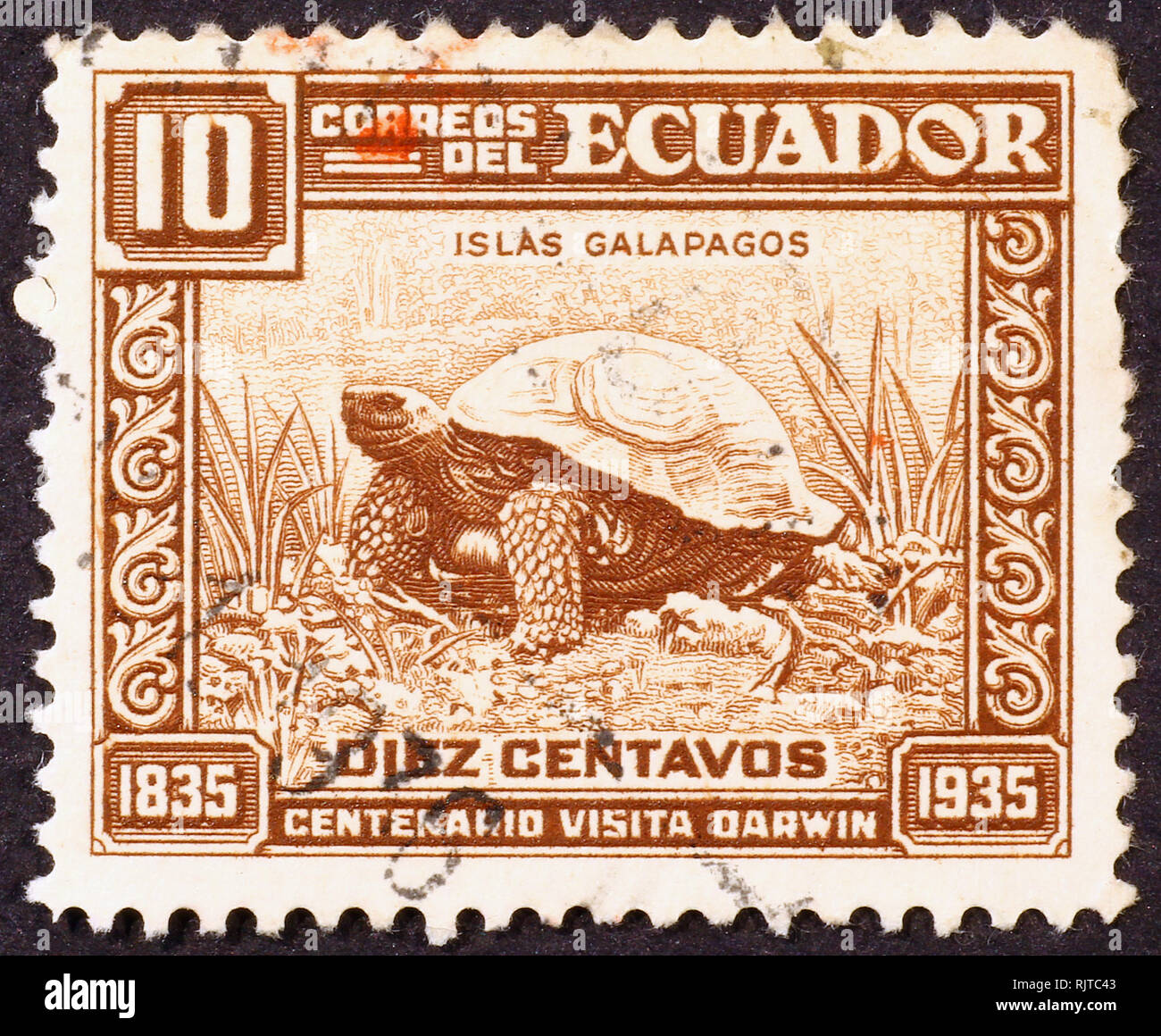 Postage stamp showing a giant turtle of Galapagos islands Stock Photo ...