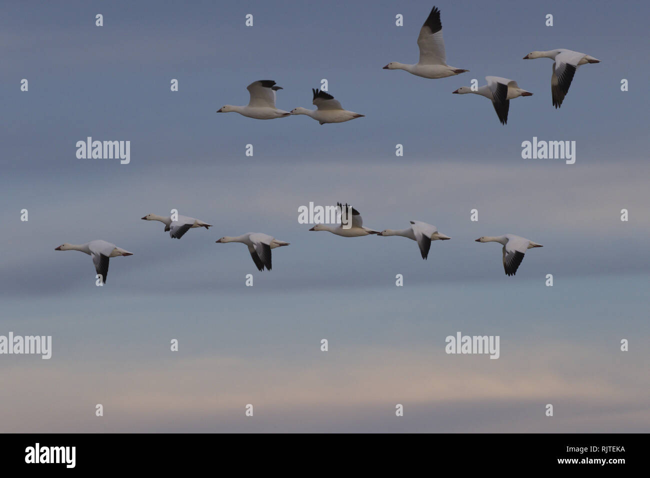 Horizontal sunset streak hi-res stock photography and images - Alamy