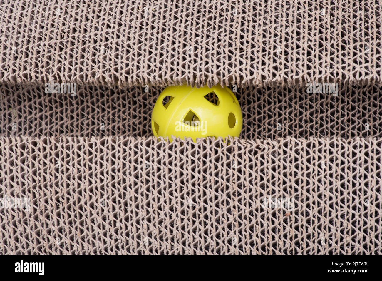 Cat scratcher made of 100% recycled cardboard with bell ball. Cat Paper ...