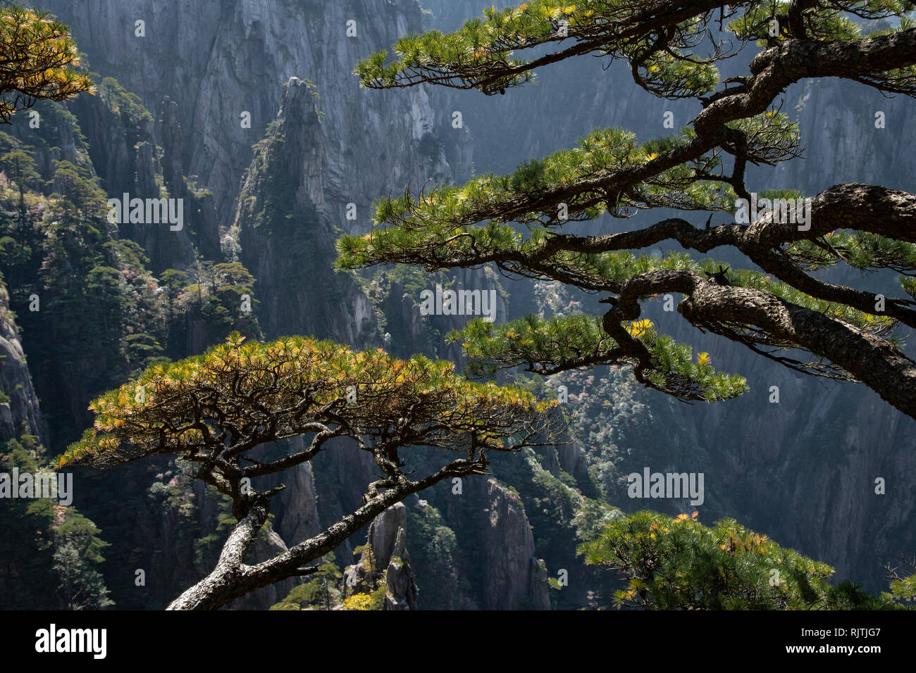 Asia, China, Chinese, Anhui Province, Mount Huangshan , UNESCO , World ...