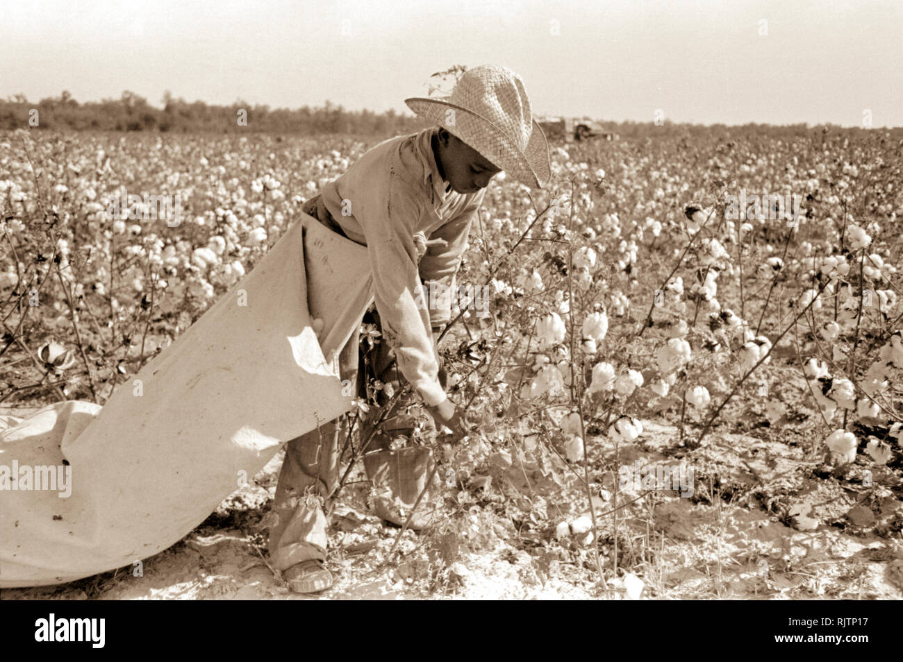 Back Breaking Labor High Resolution Stock Photography and Images - Alamy