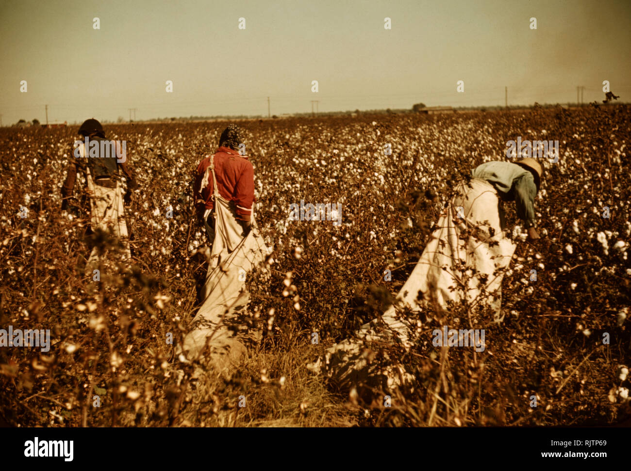 Human laborers hi-res stock photography and images - Alamy
