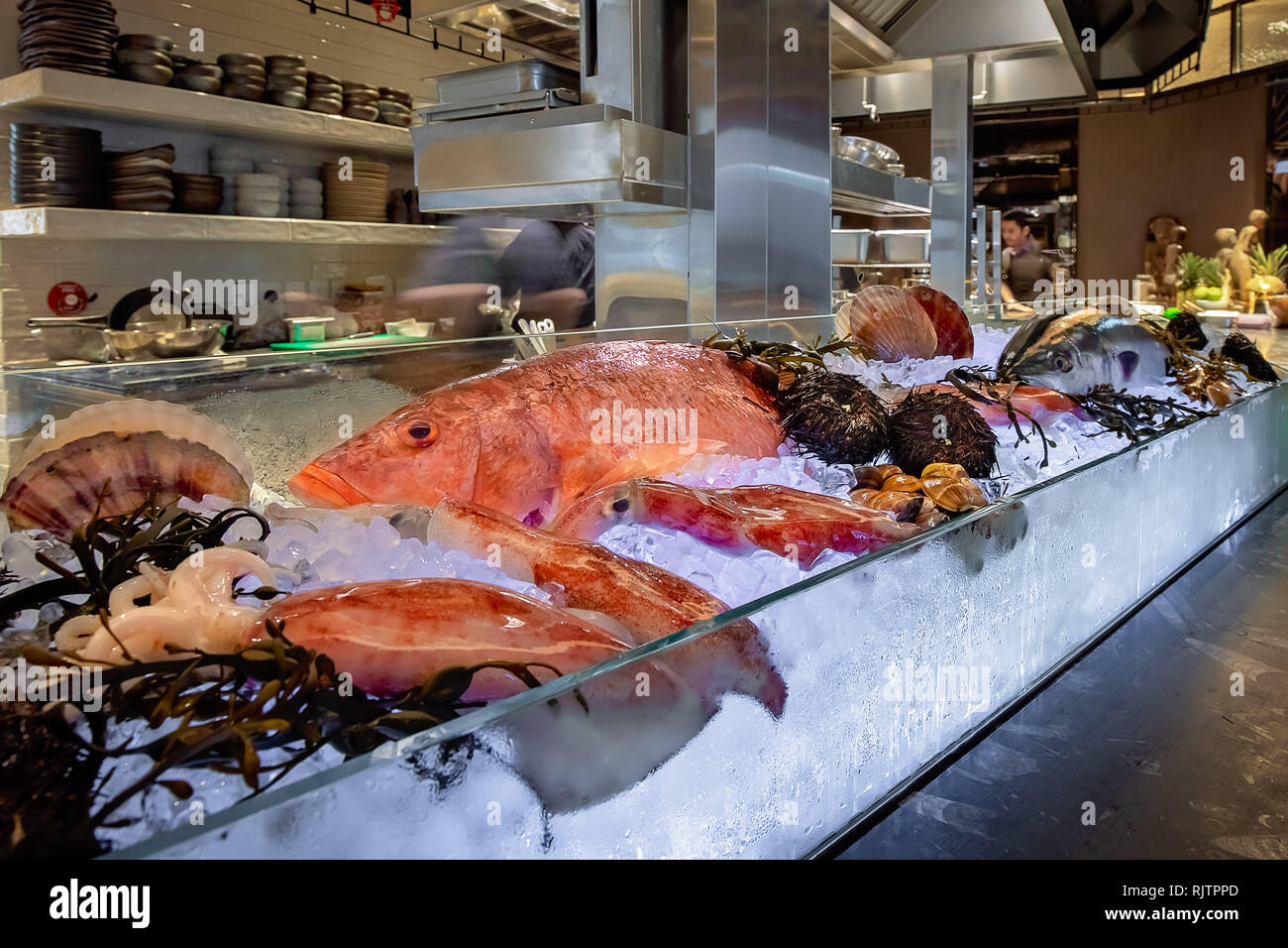 Seafood counter display hi-res stock photography and images - Alamy