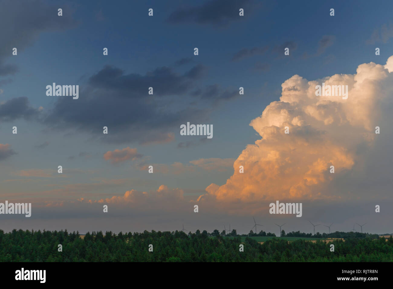 Forest landscape with huge clouds Stock Photo - Alamy