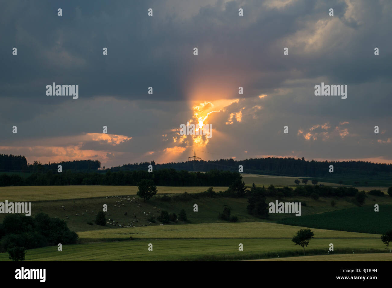 Green landscape with sunset Stock Photo - Alamy