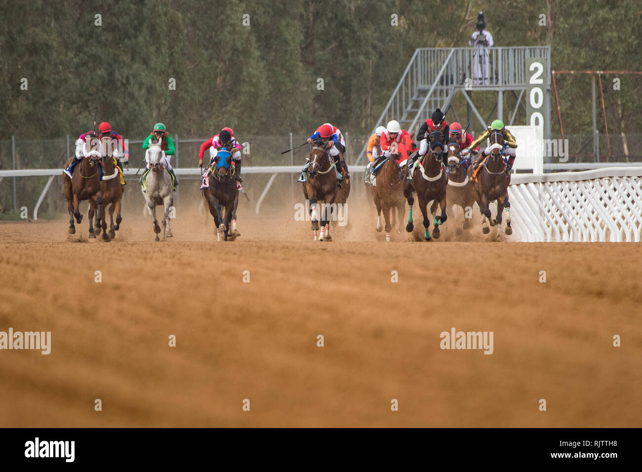 Horse racing at King Khalid Racetrack, Taif, Saudi Arabia 22/06/2018 ...