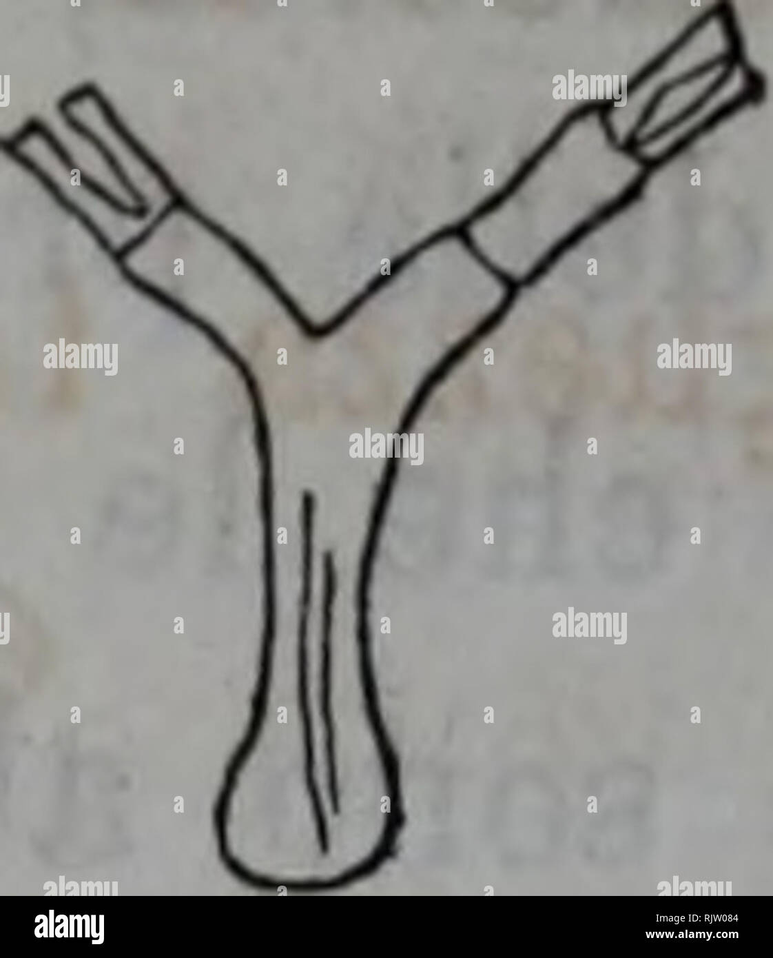 Ossa del femore hi-res stock photography and images - Alamy