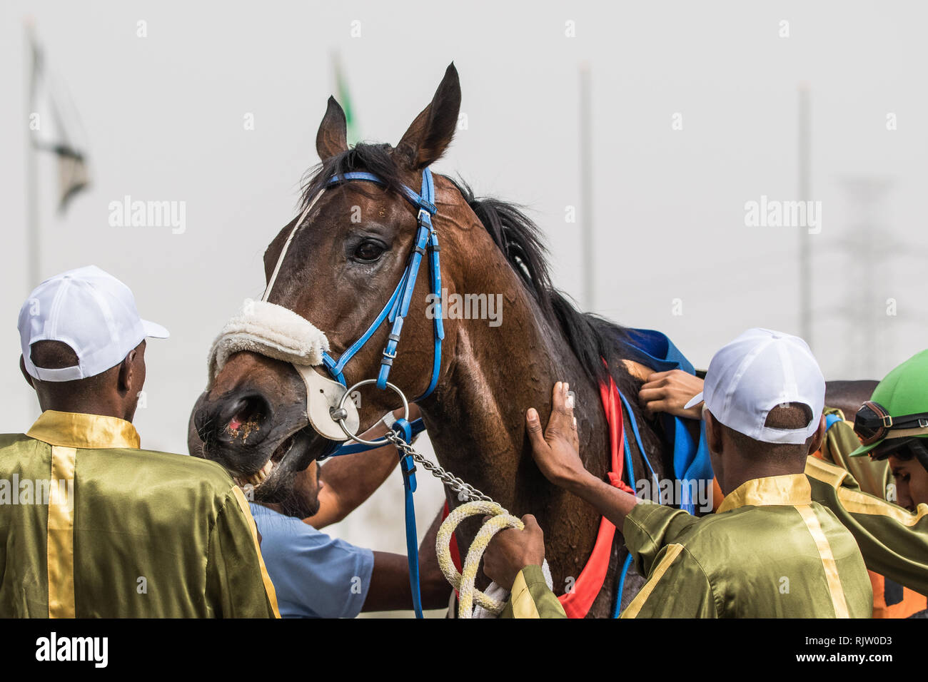 Horse racing at King Khalid Racetrack, Taif, Saudi Arabia 22/06/2018 ...