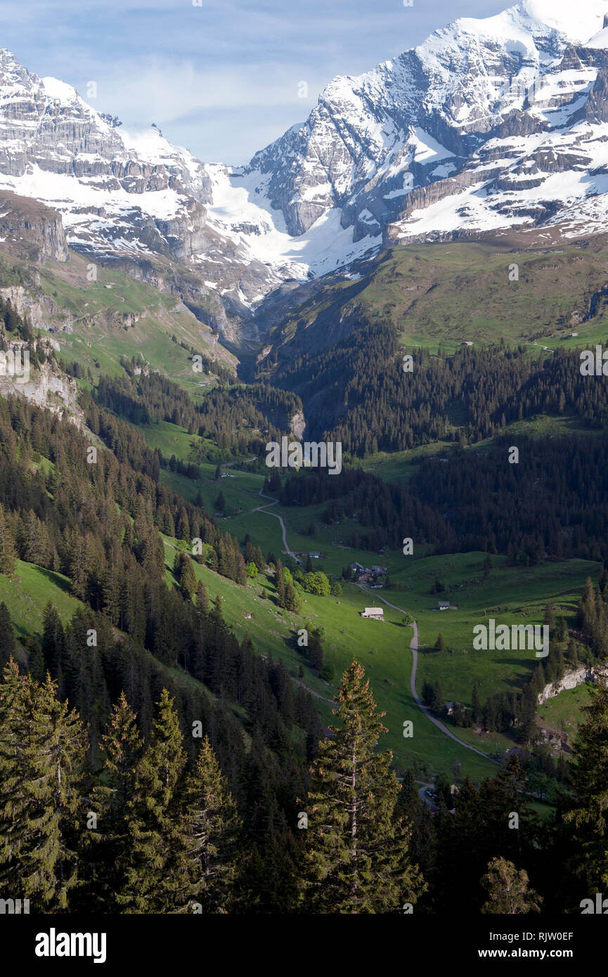 Kandersteg switzerland hiker hi-res stock photography and images - Alamy
