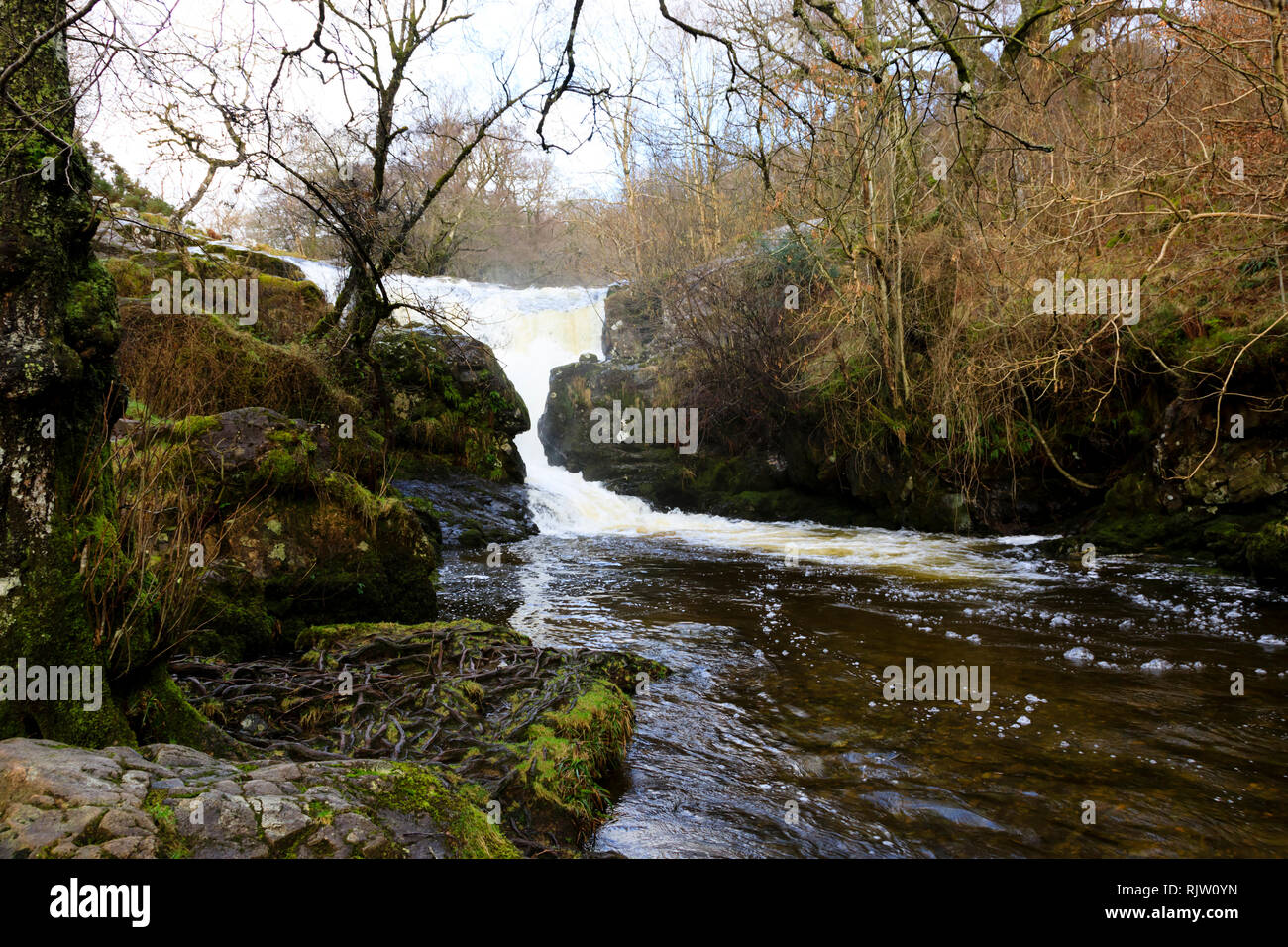 Aira Force waterfall, Matterdale, Penrith, Lake District, Cumbria ...