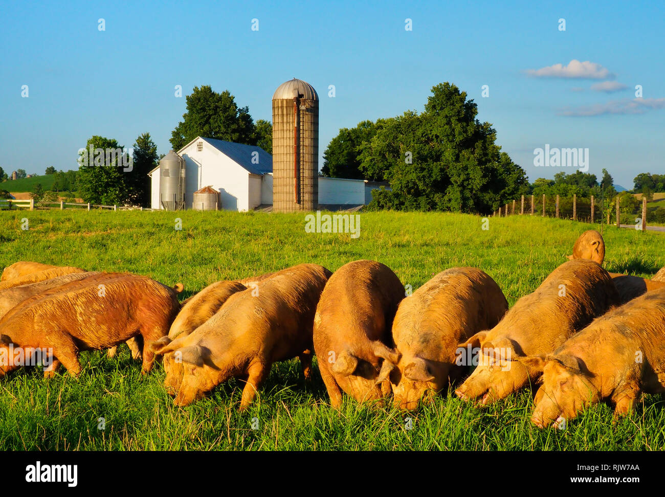 Dayton farms hi-res stock photography and images - Alamy