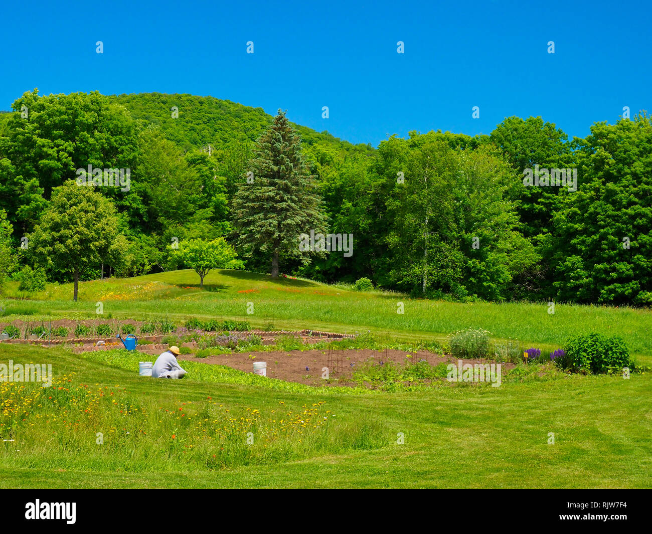Weston vermont usa hi-res stock photography and images - Alamy
