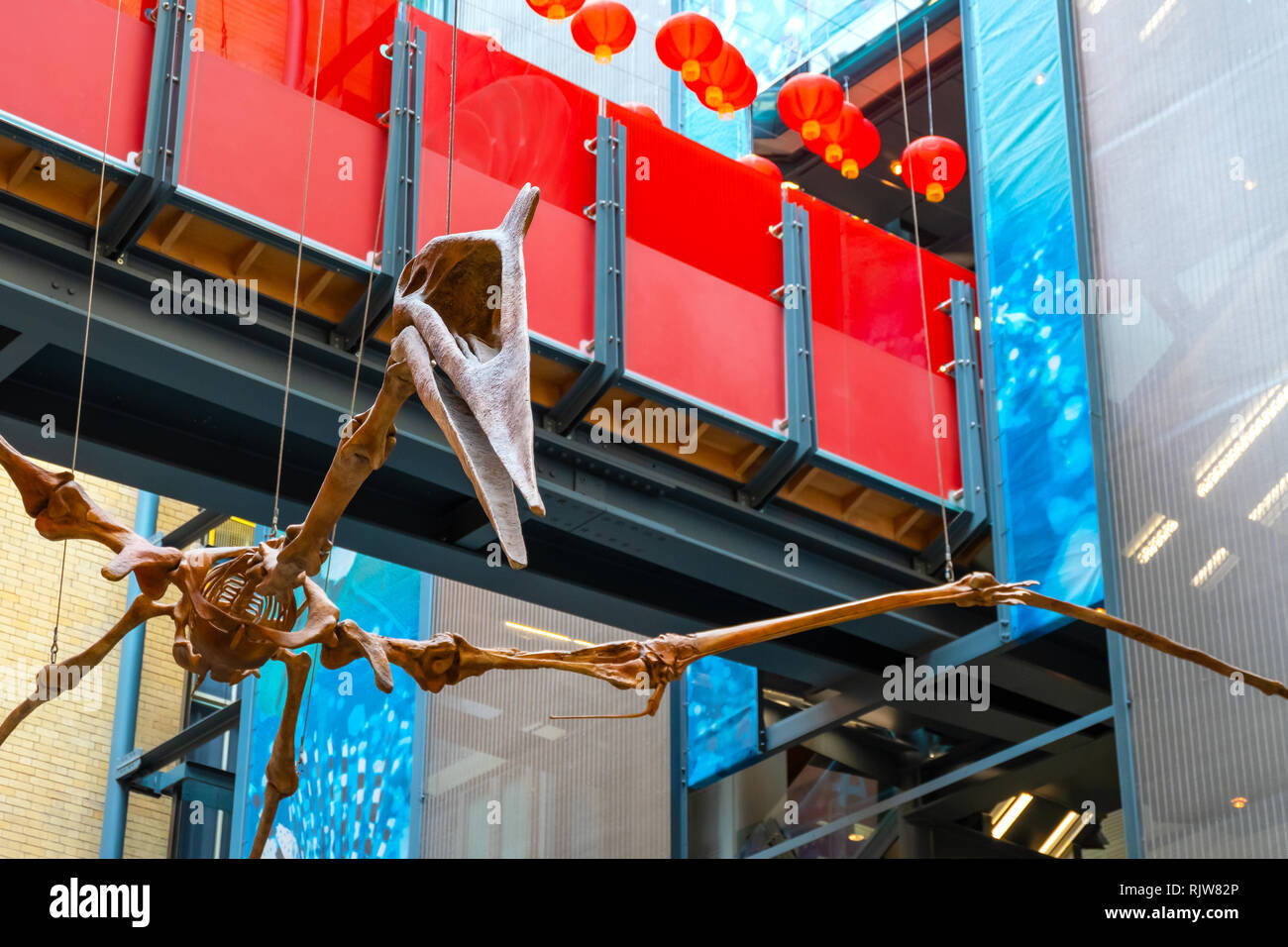 Liverpool, UK - May 16 2018: World Museum Liverpool houses extensive ...