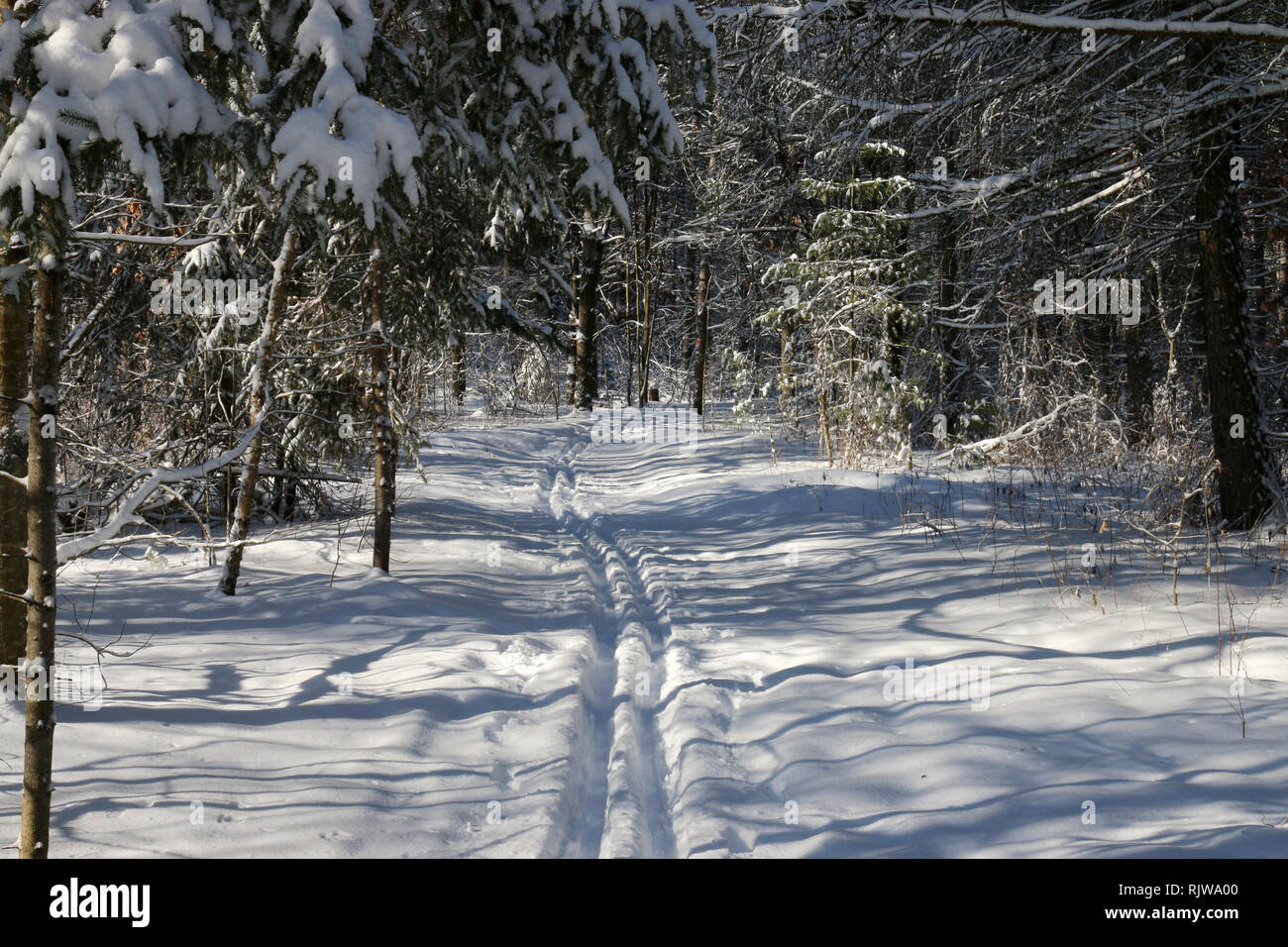 Dual sport trails hi-res stock photography and images - Alamy