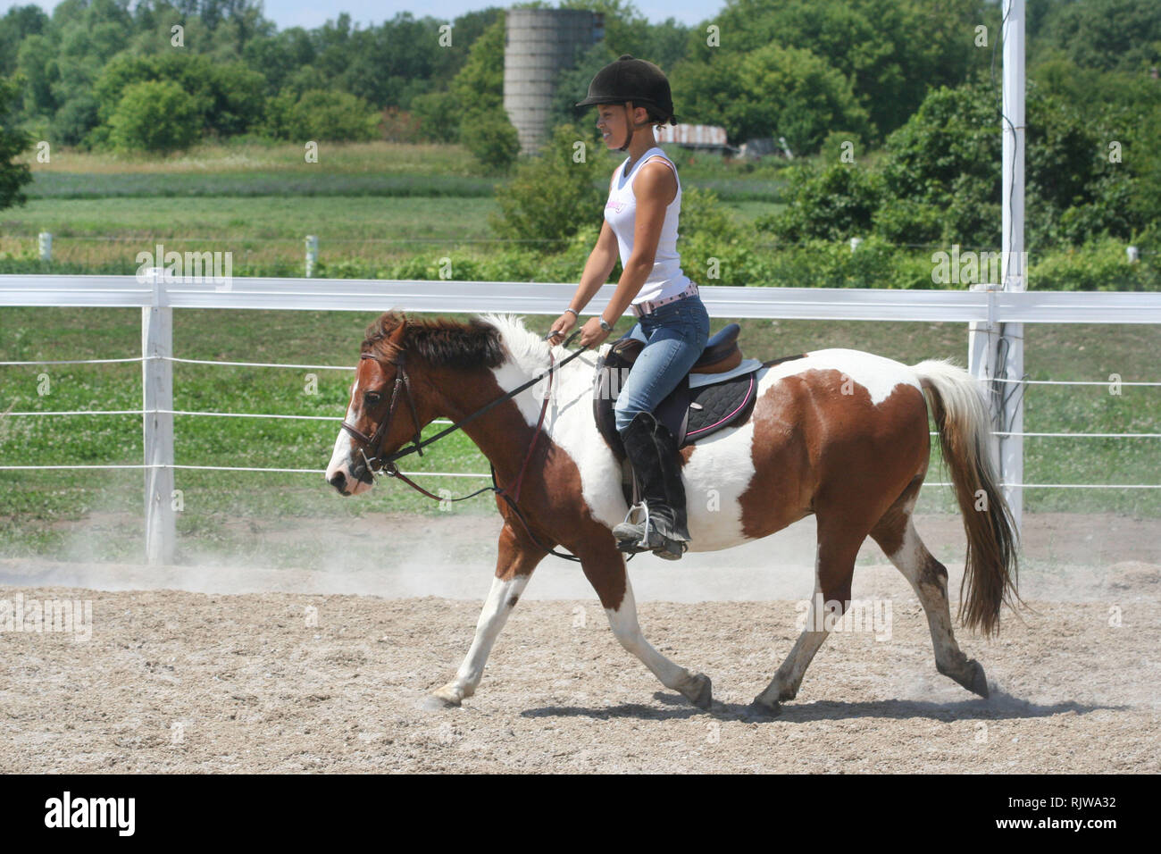 Engish tack hi-res stock photography and images - Alamy