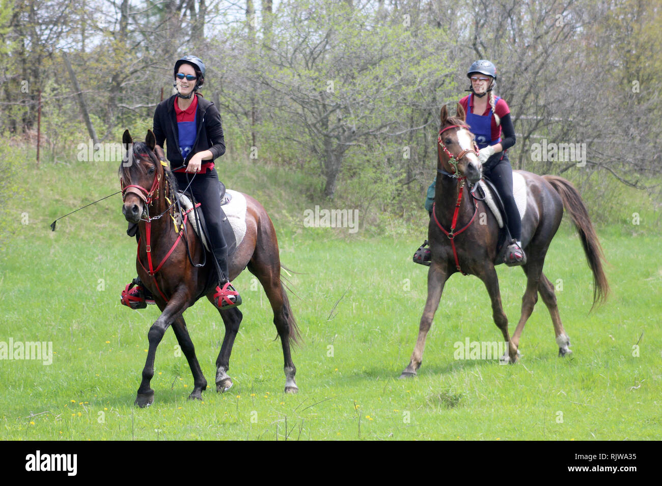 Endurance Racing in Millbrook Ontario Race Start Stock Photo - Alamy