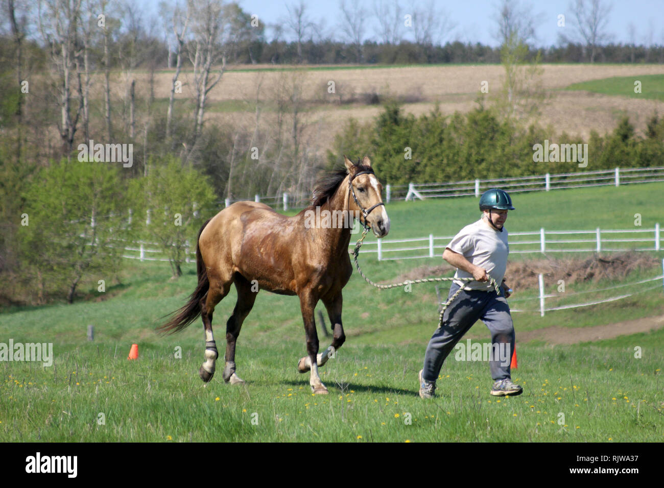 Half horse half human hi-res stock photography and images - Alamy