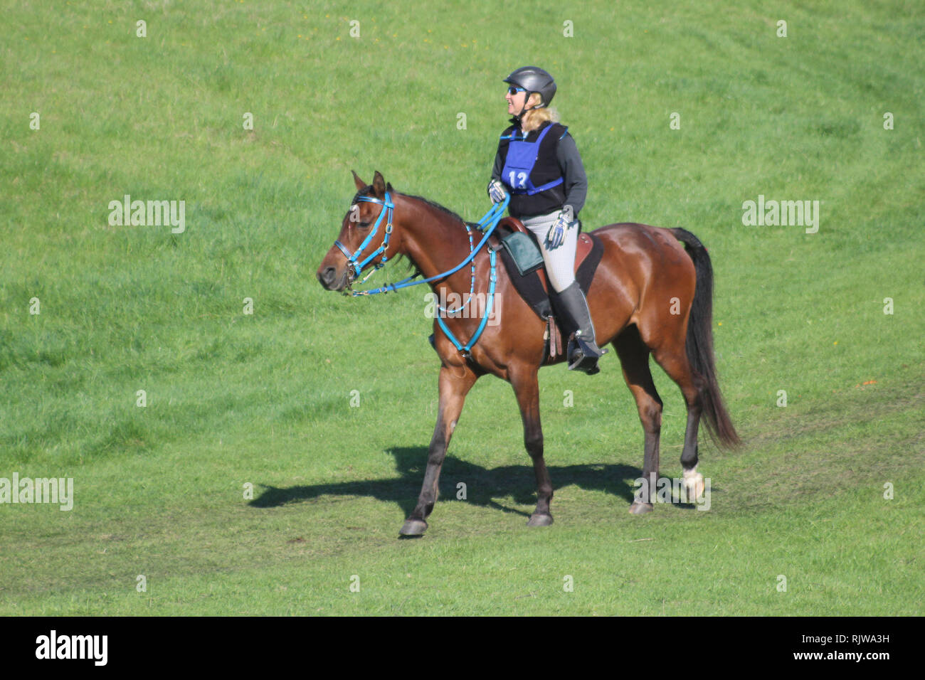 Ontario Horse Racing High Resolution Stock Photography and Images - Alamy