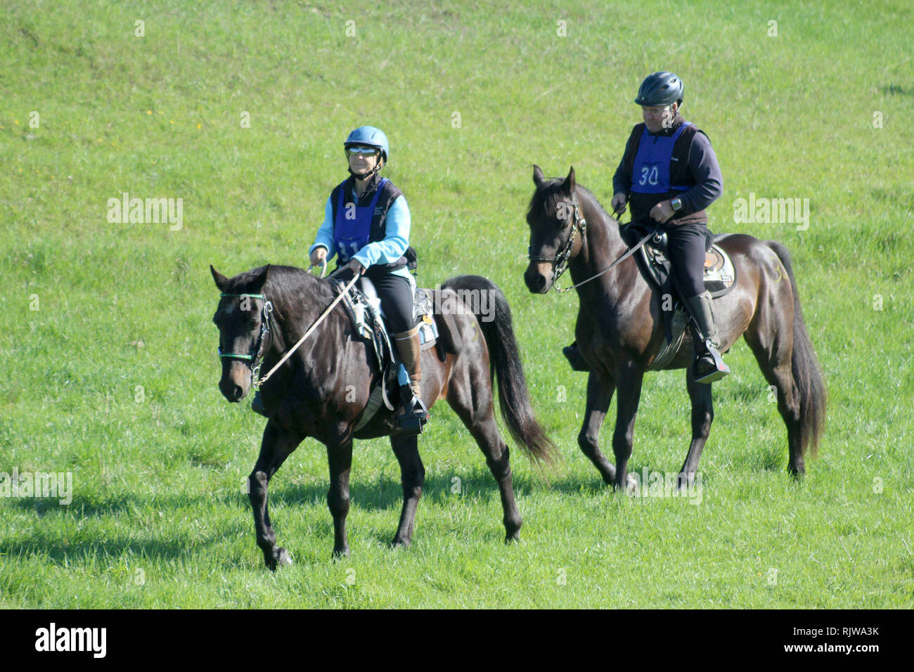 Endurance Racing in Millbrook Ontario Race Start Stock Photo - Alamy