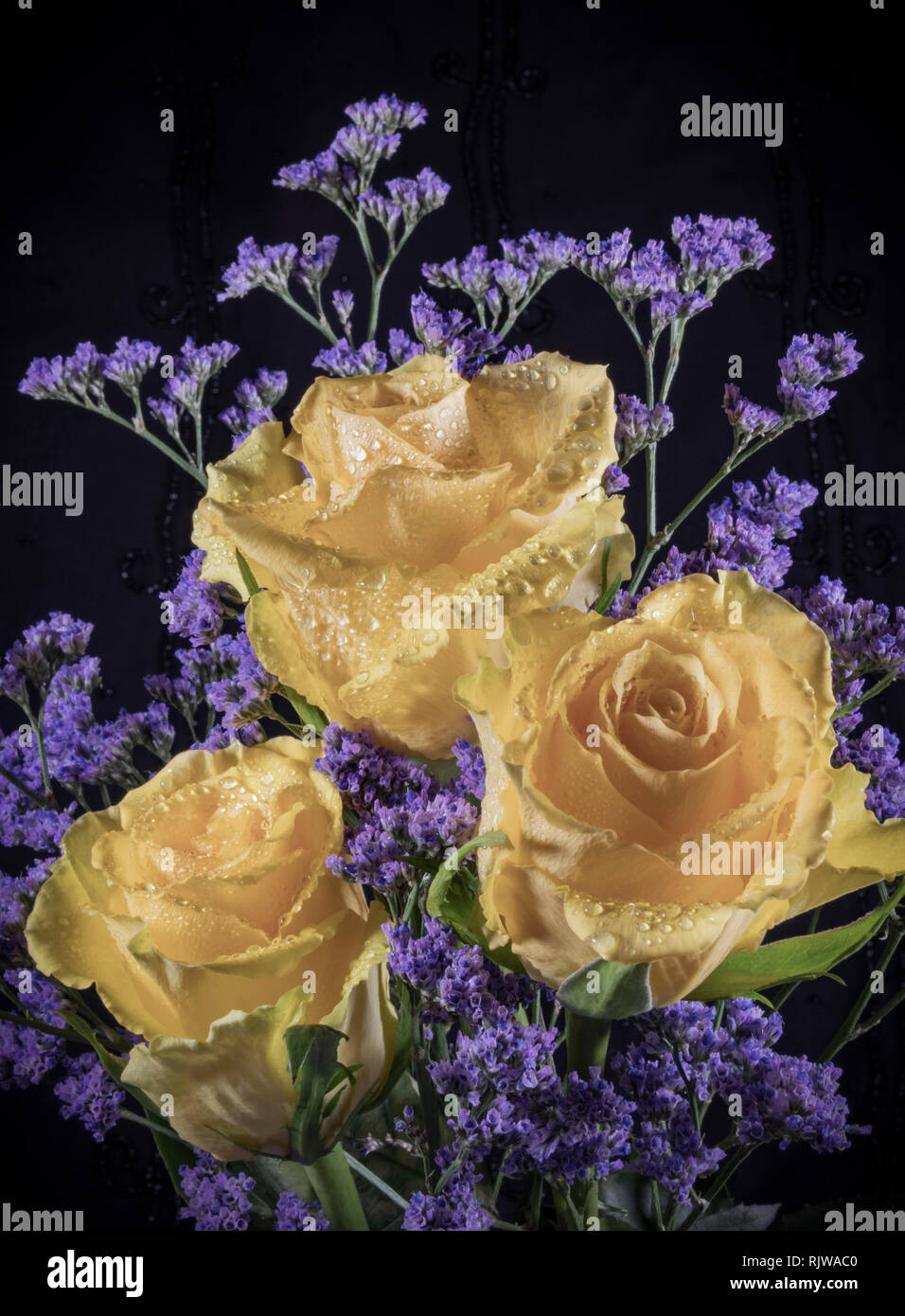 Roses and statice hi-res stock photography and images - Alamy