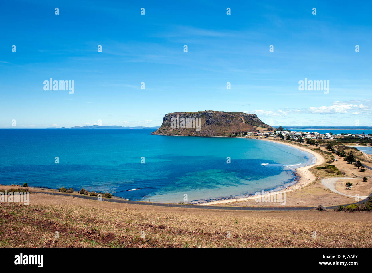 The nut tasmania hi-res stock photography and images - Alamy