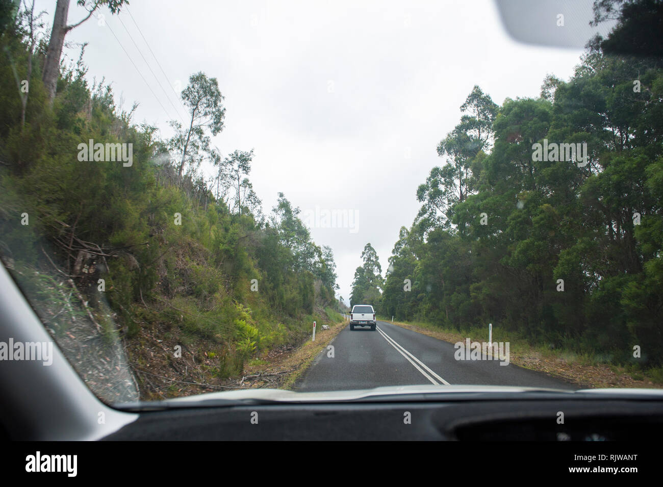 Driving in rainforest hi-res stock photography and images - Alamy